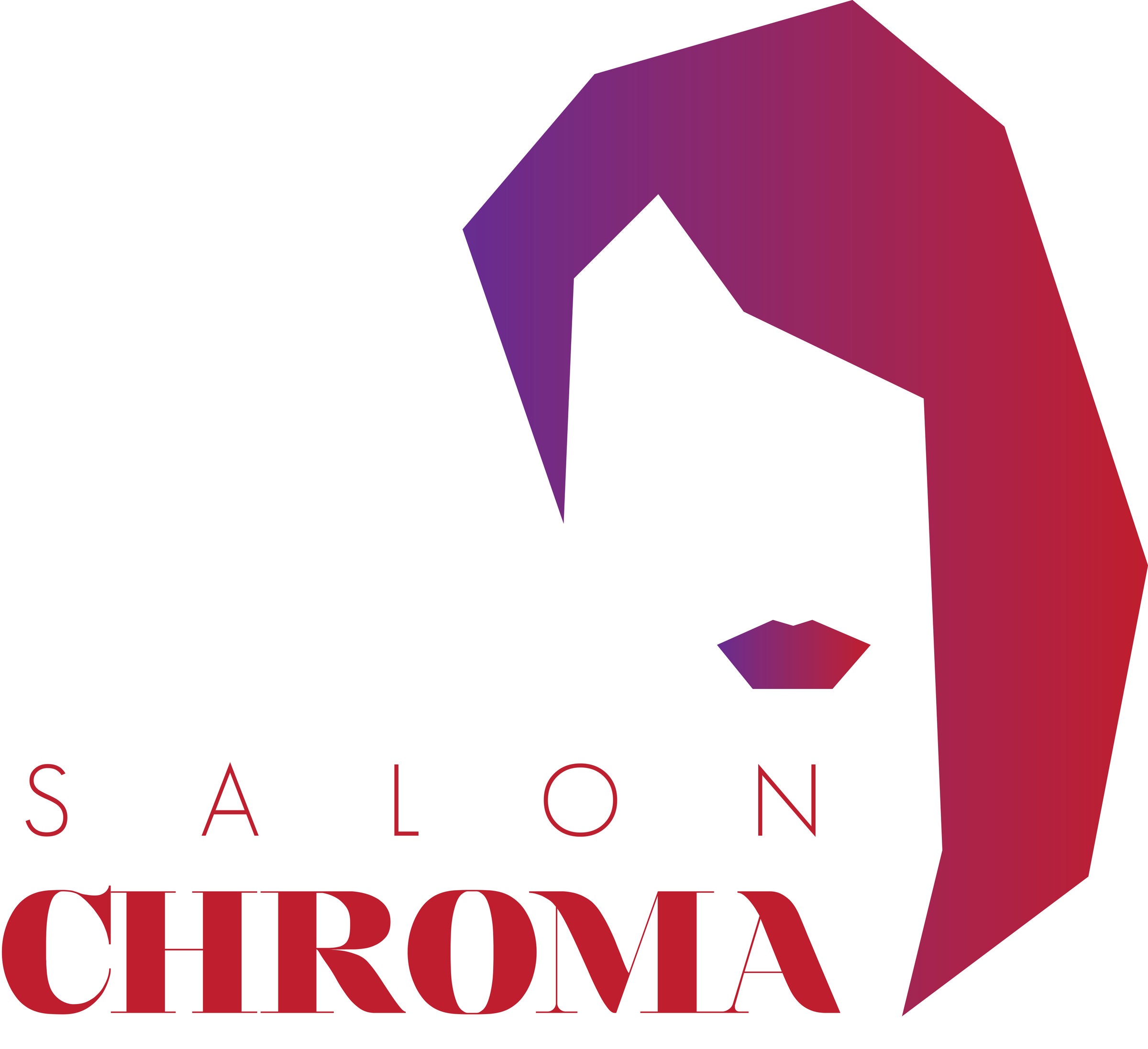 Hair Appointments | Salon Chroma